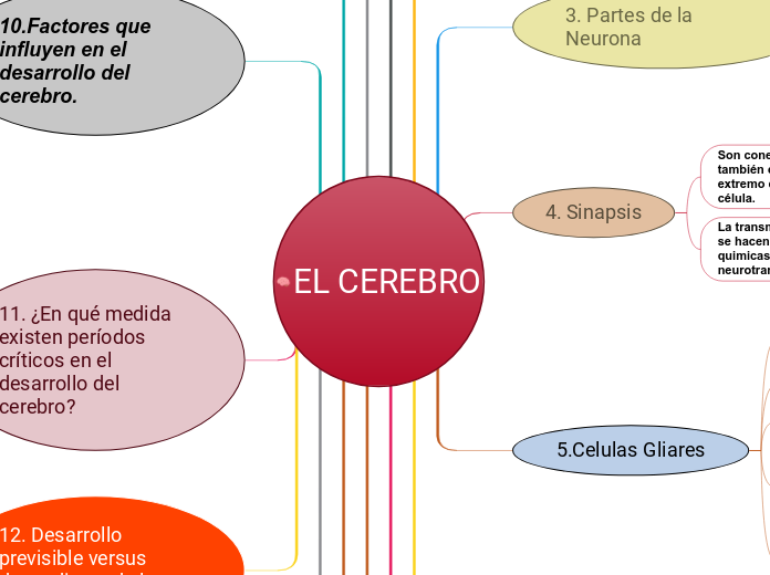 EL CEREBRO - Mind Map